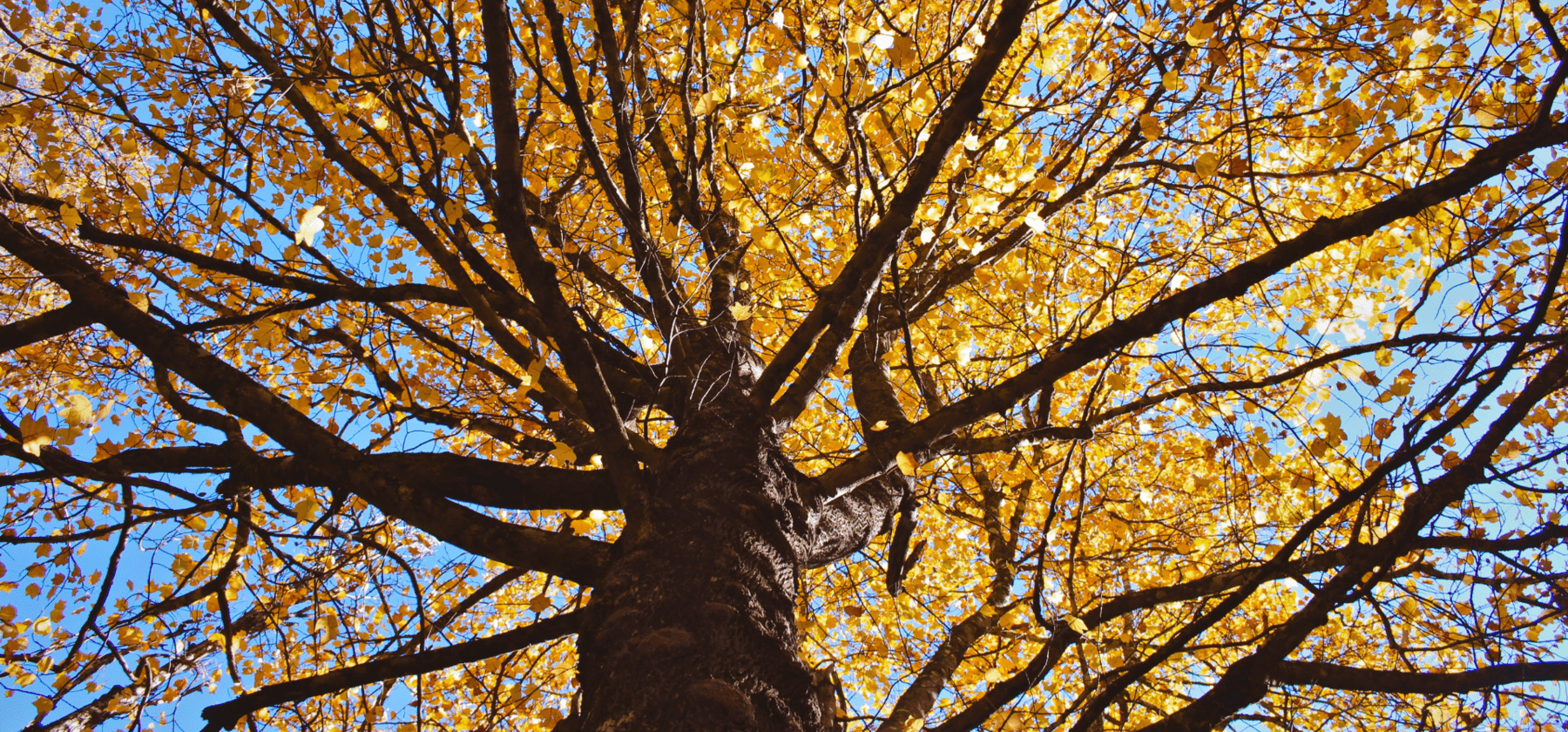 Stimmung der Bayern bleibt stabil – Rest Deutschlands holt auf - 10 ...